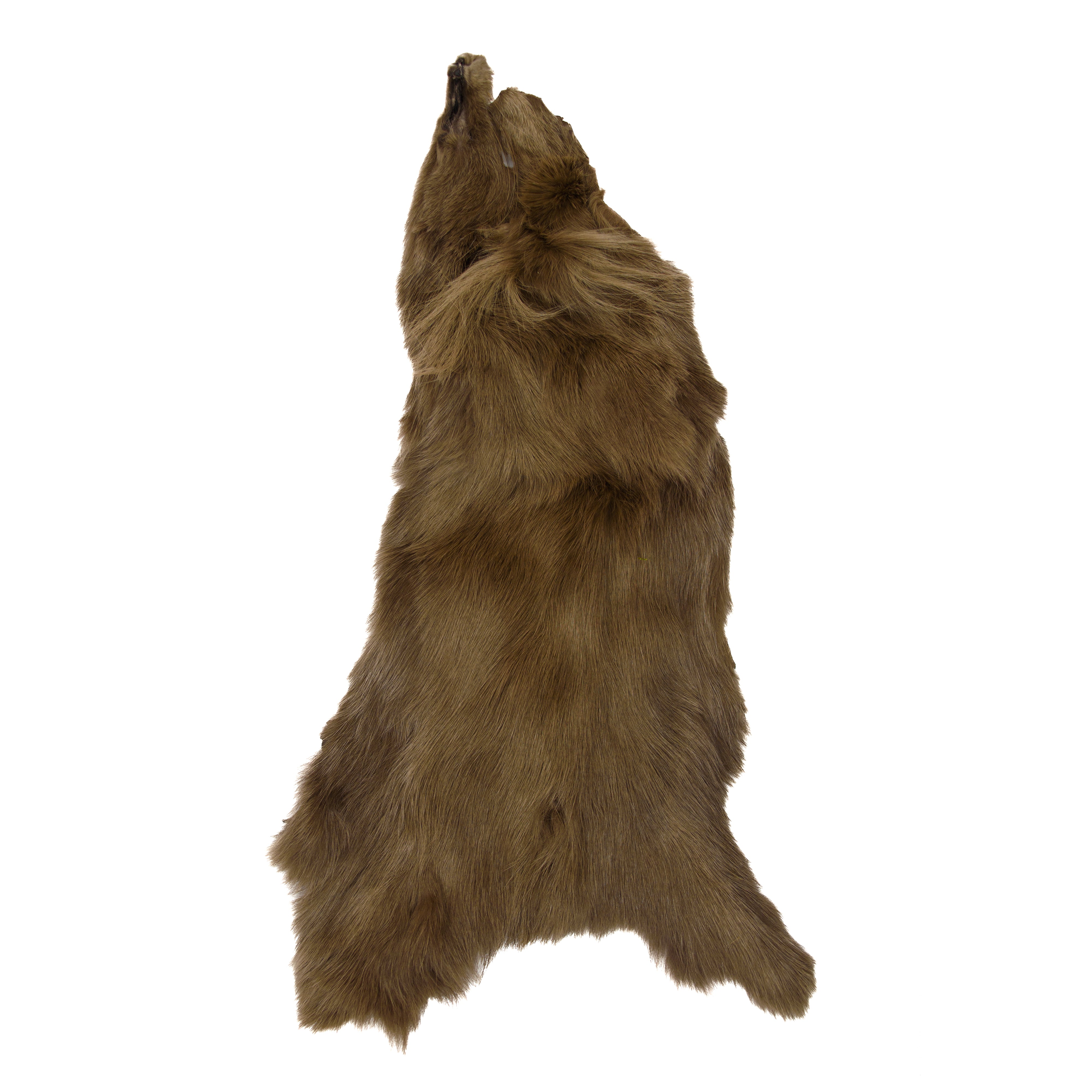 Pine Squirrel Hides | Fly Tying Materials – Cascade Crest Tools